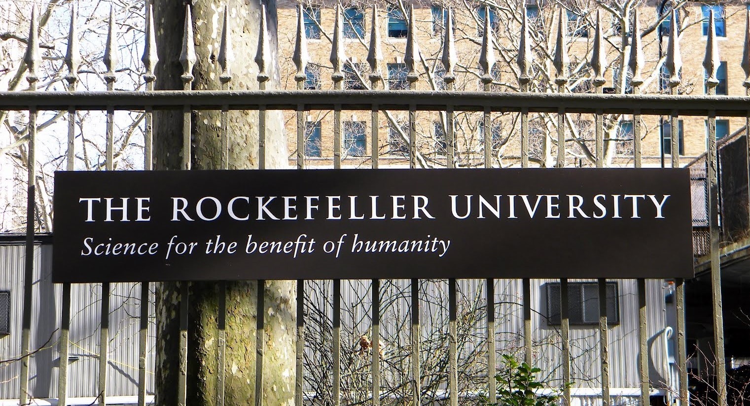 Delmic showcases user-friendly and contamination minimizing cryo-ET solutions at Rockefeller ...