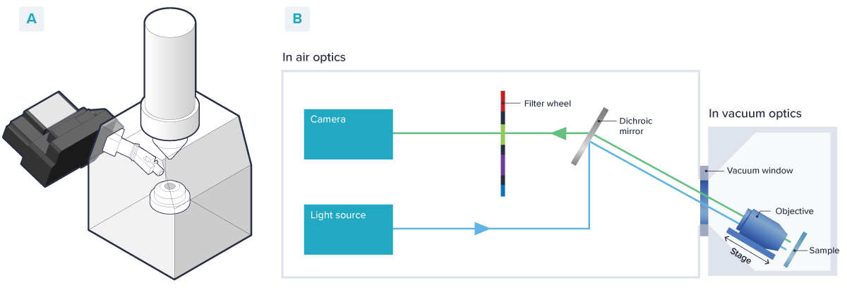 From sample to structure - Streamline the correlative cryo-ET workflow ...