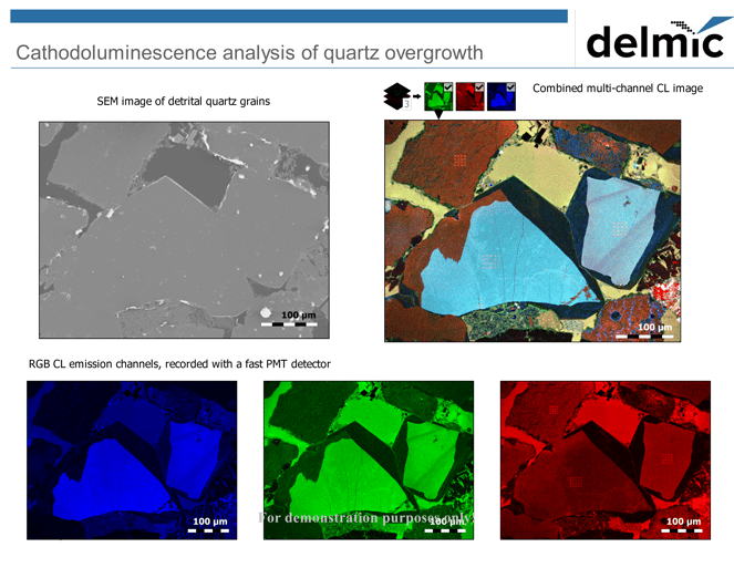 DELMIC announces partnership with Digital Surf