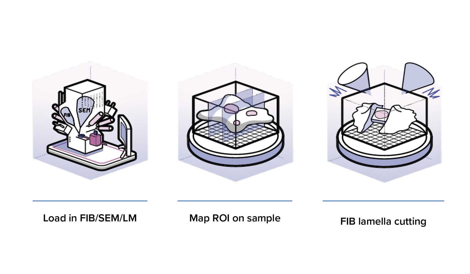 Using integrated fluorescence light microscopy to improve the cryo ...