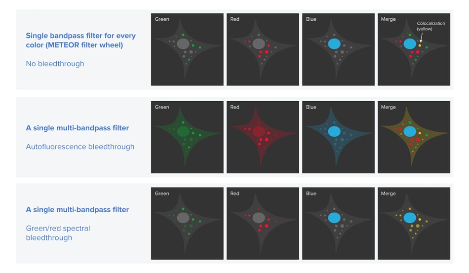 Subtomogram averaging in the cryo-ET workflow