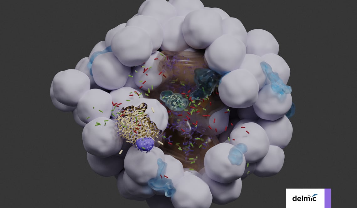 Unlocking the potential of CLEM with high-throughput electron microscopy