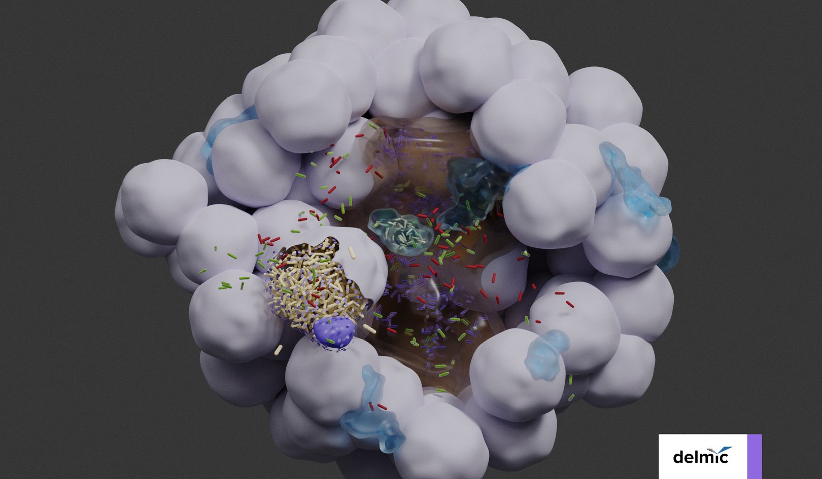 Nanoscale 3D organoid imaging: a powerful tool for drug development