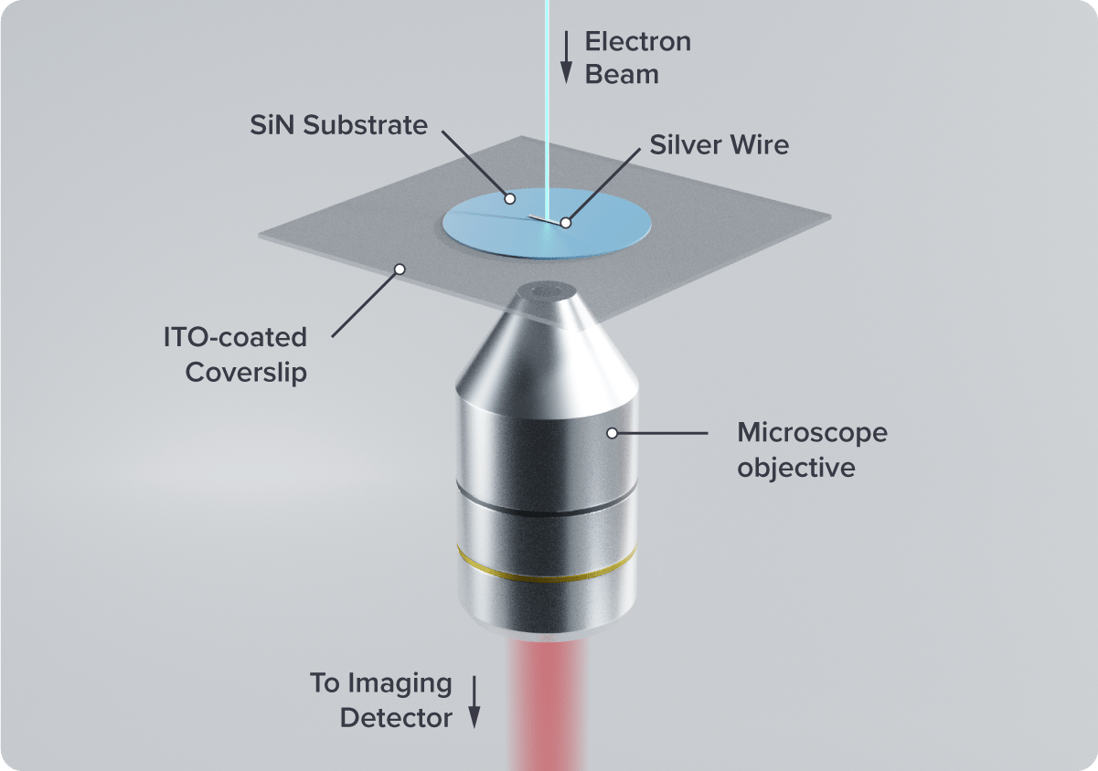 The Physics Of Plasmon Propagation In Silver Nanowires