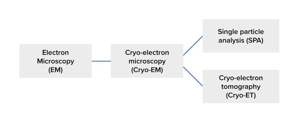 What is the difference between cryo-EM and cryo-ET?
