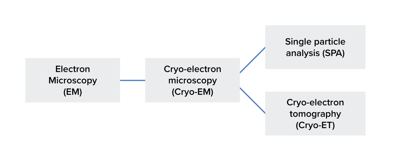 What is the difference between cryo-EM and cryo-ET?