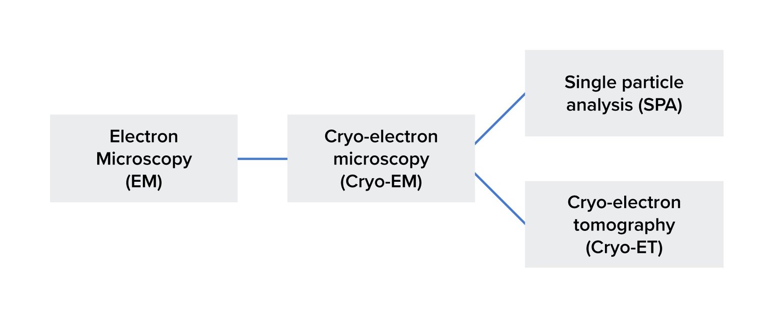 What is the difference between cryo-EM and cryo-ET?