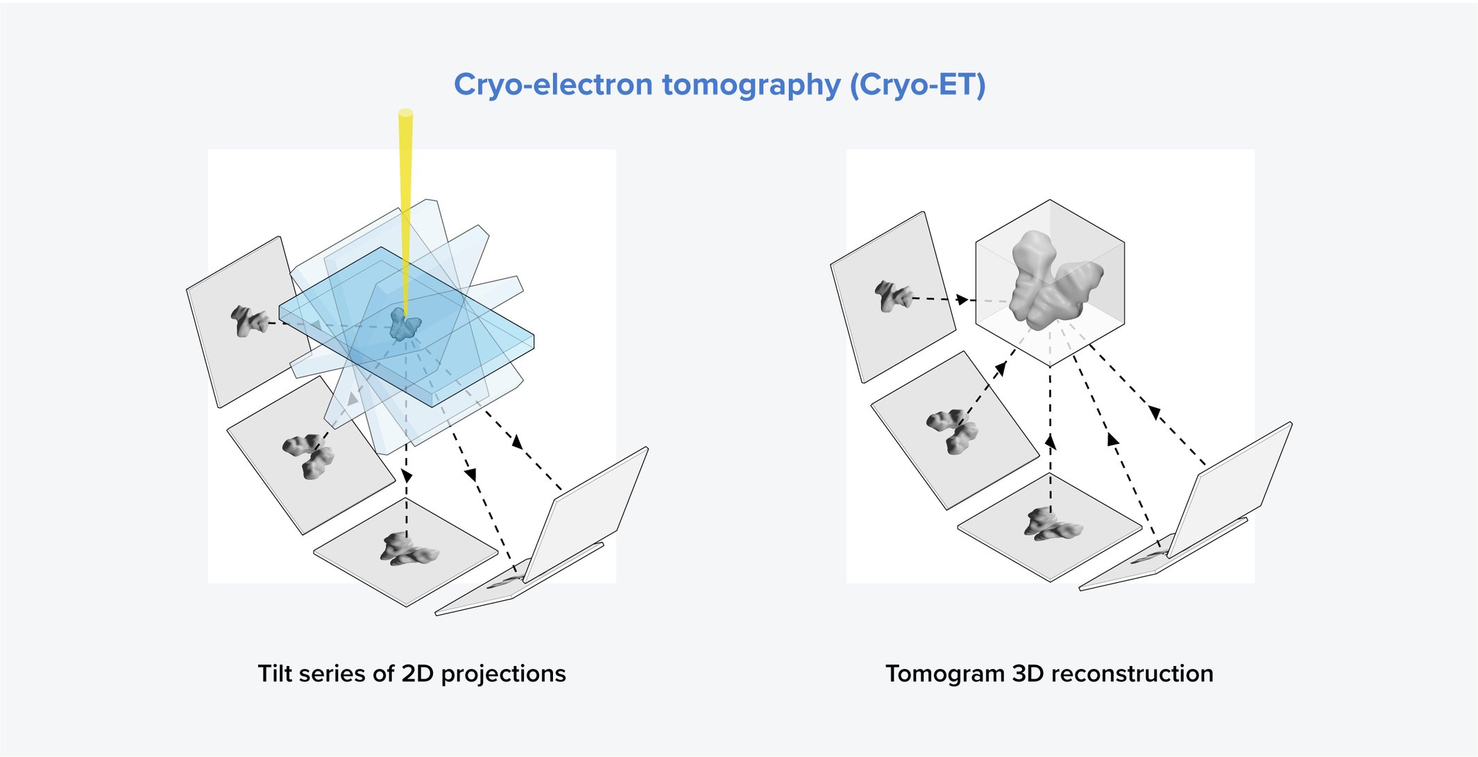 What is the difference between cryo-EM and cryo-ET?