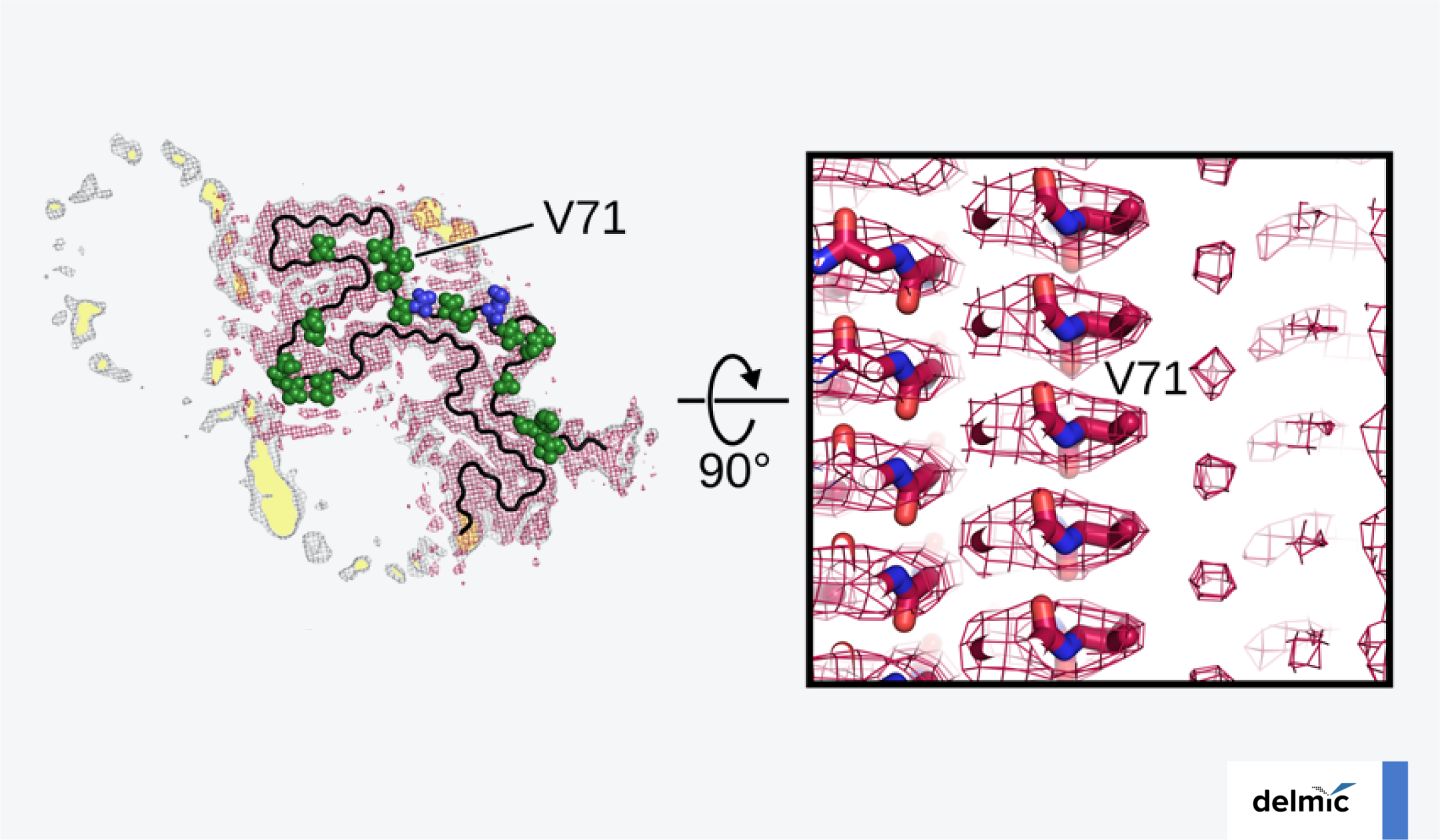 A molecular view on Parkinson’s disease using cryo-EM