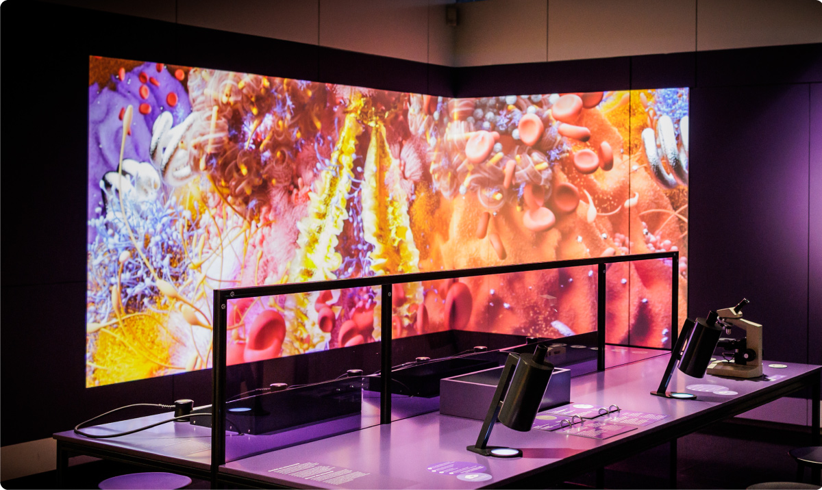 How Bacteria Were Discovered By A Curious Shop Owner In Delft