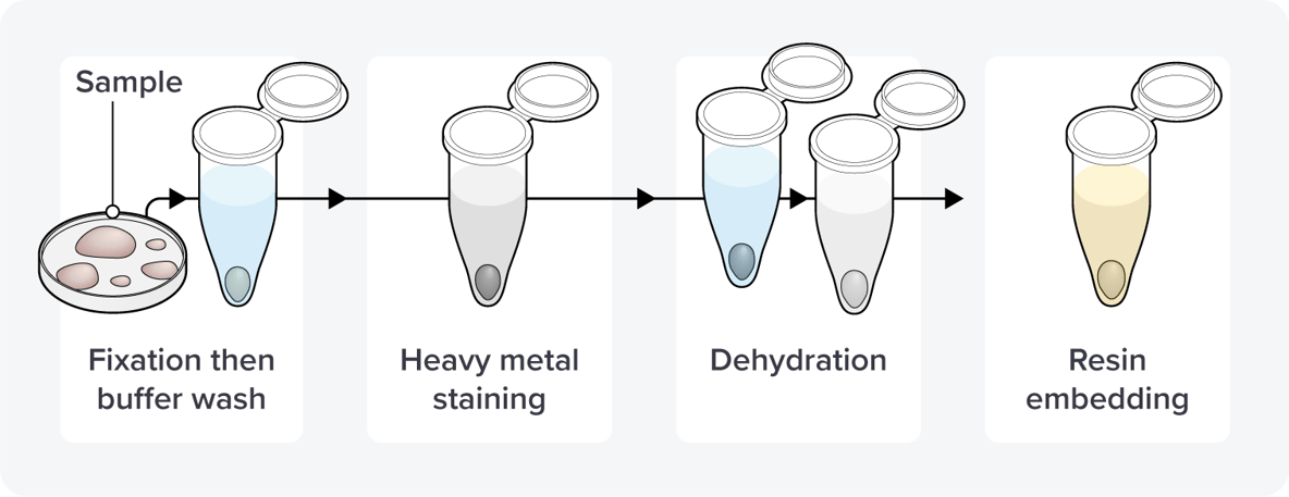 What Are The Main 3D Electron Microscopy Techniques?