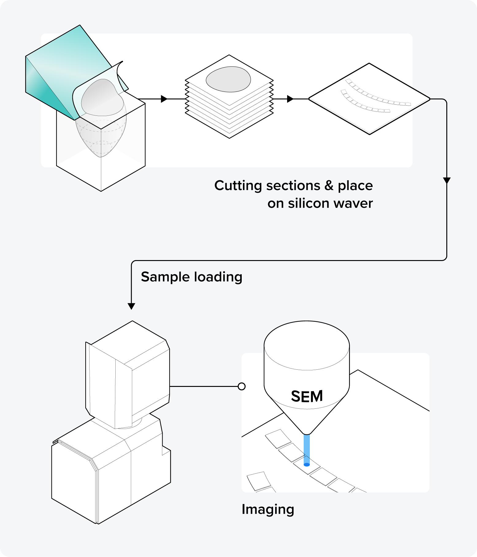 What Are The Main 3D Electron Microscopy Techniques?