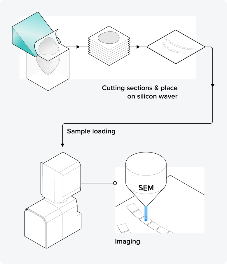 What Are The Main 3D Electron Microscopy Techniques?