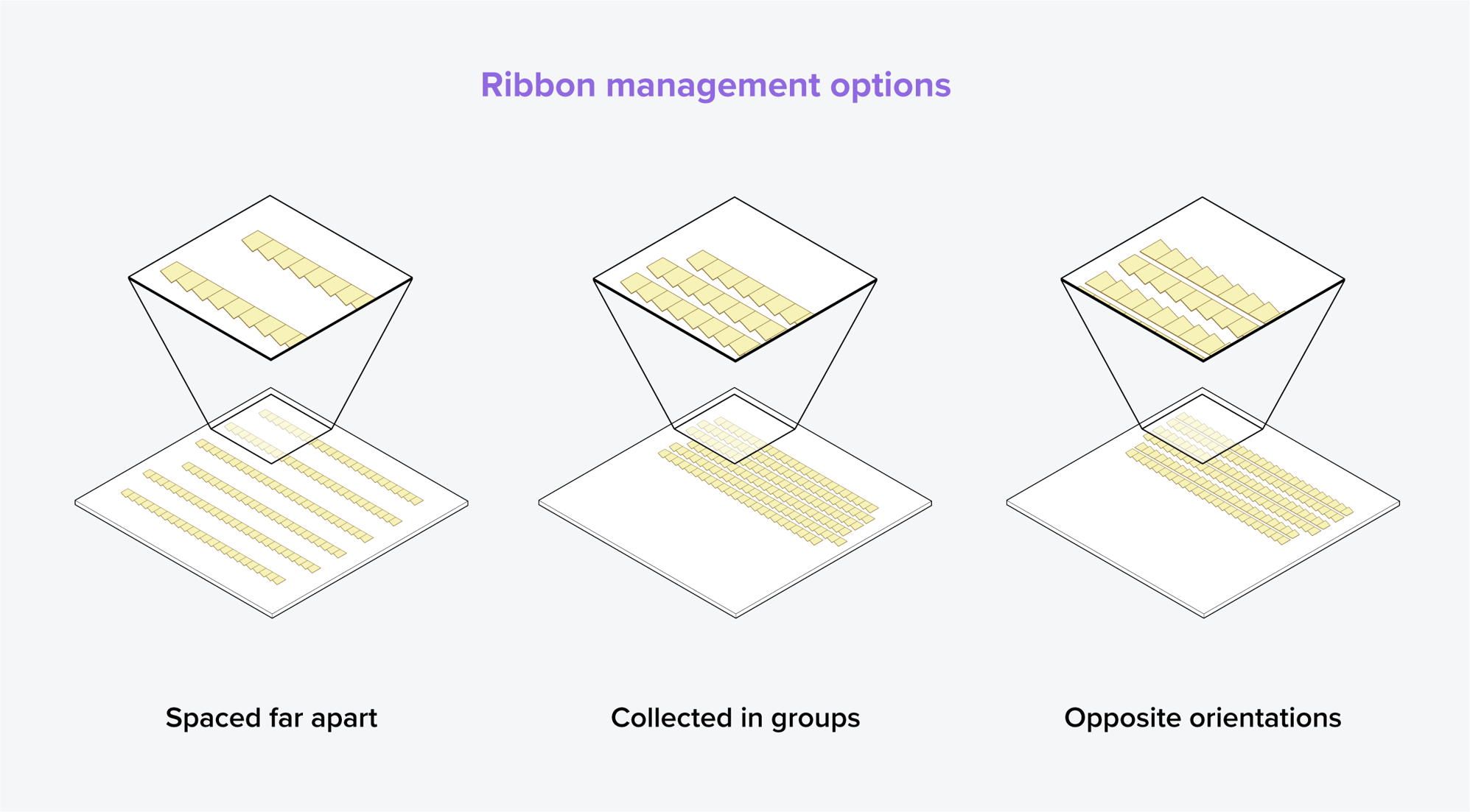 Array tomography workflow: tips and tricks on section handling from ...