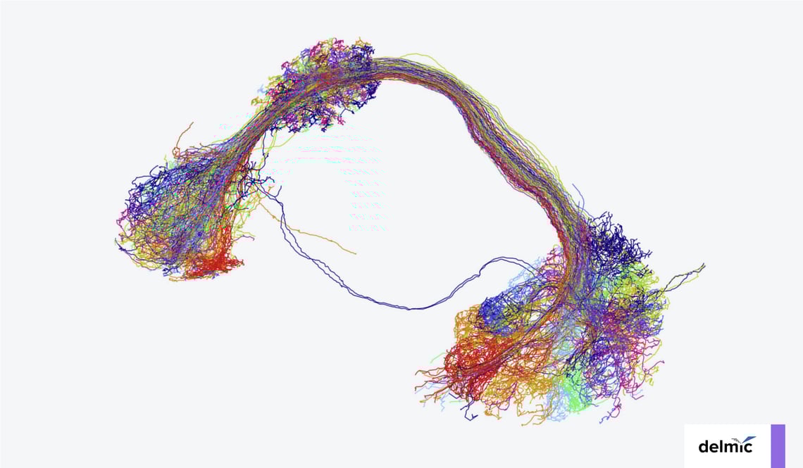 Unlocking the potential of CLEM with high-throughput electron microscopy