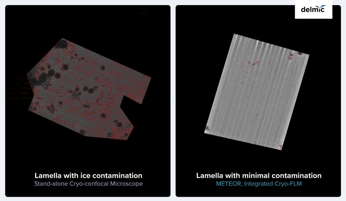 Preventing ice contamination in single-particle electron microscopy