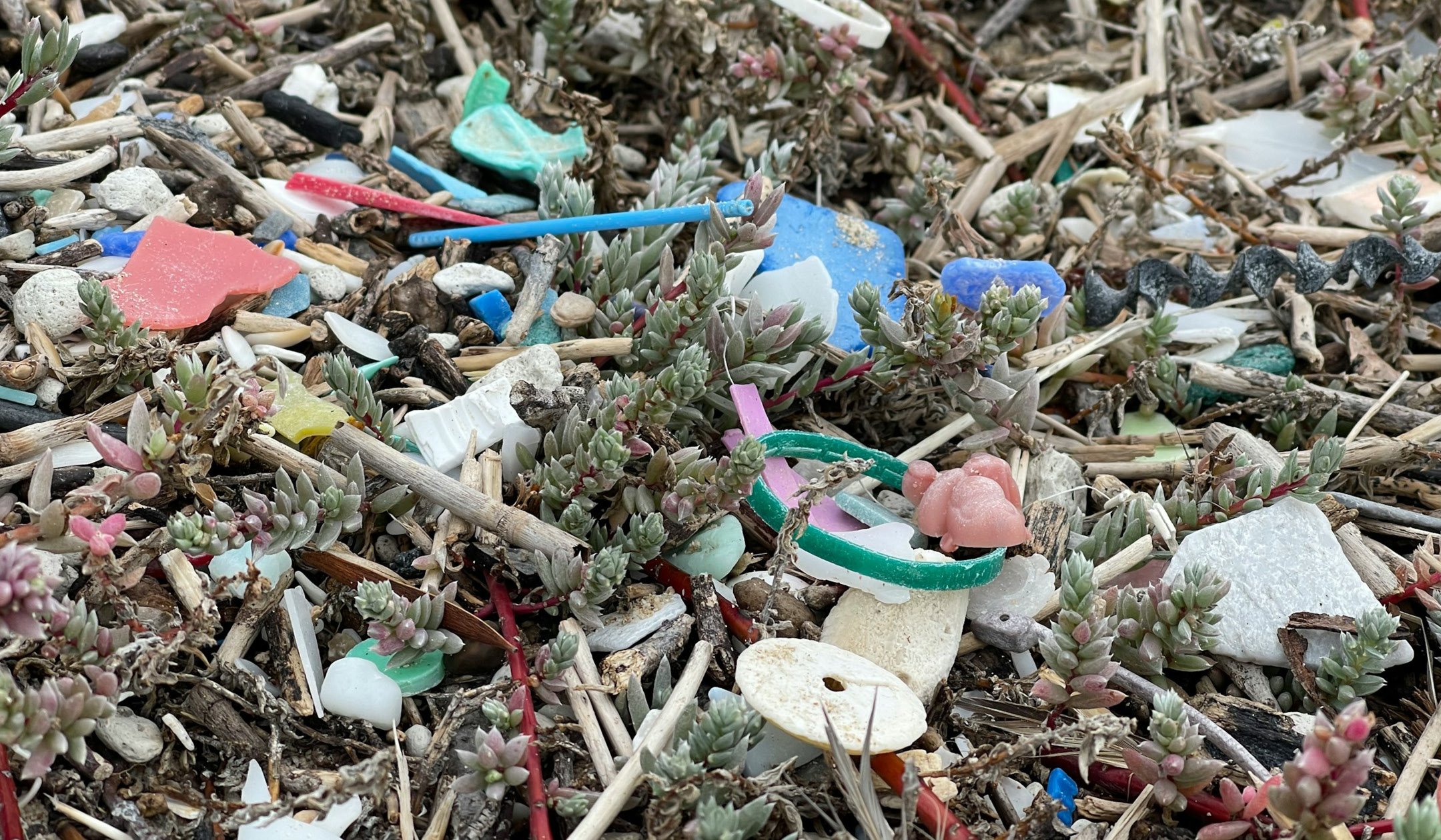 A new approach to microplastics classification using SEM-CL and AI