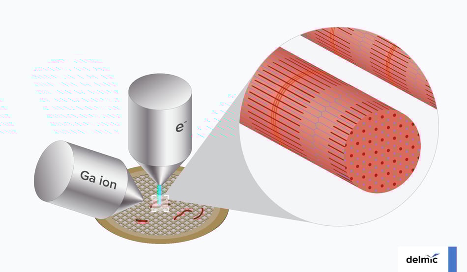 Subtomogram averaging in the cryo-ET workflow