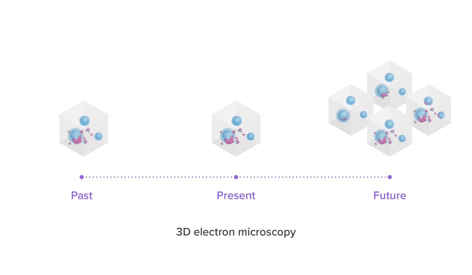 When 3D electron microscopy meets cancer research
