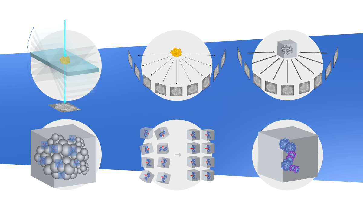 Subtomogram averaging in the cryo-ET workflow