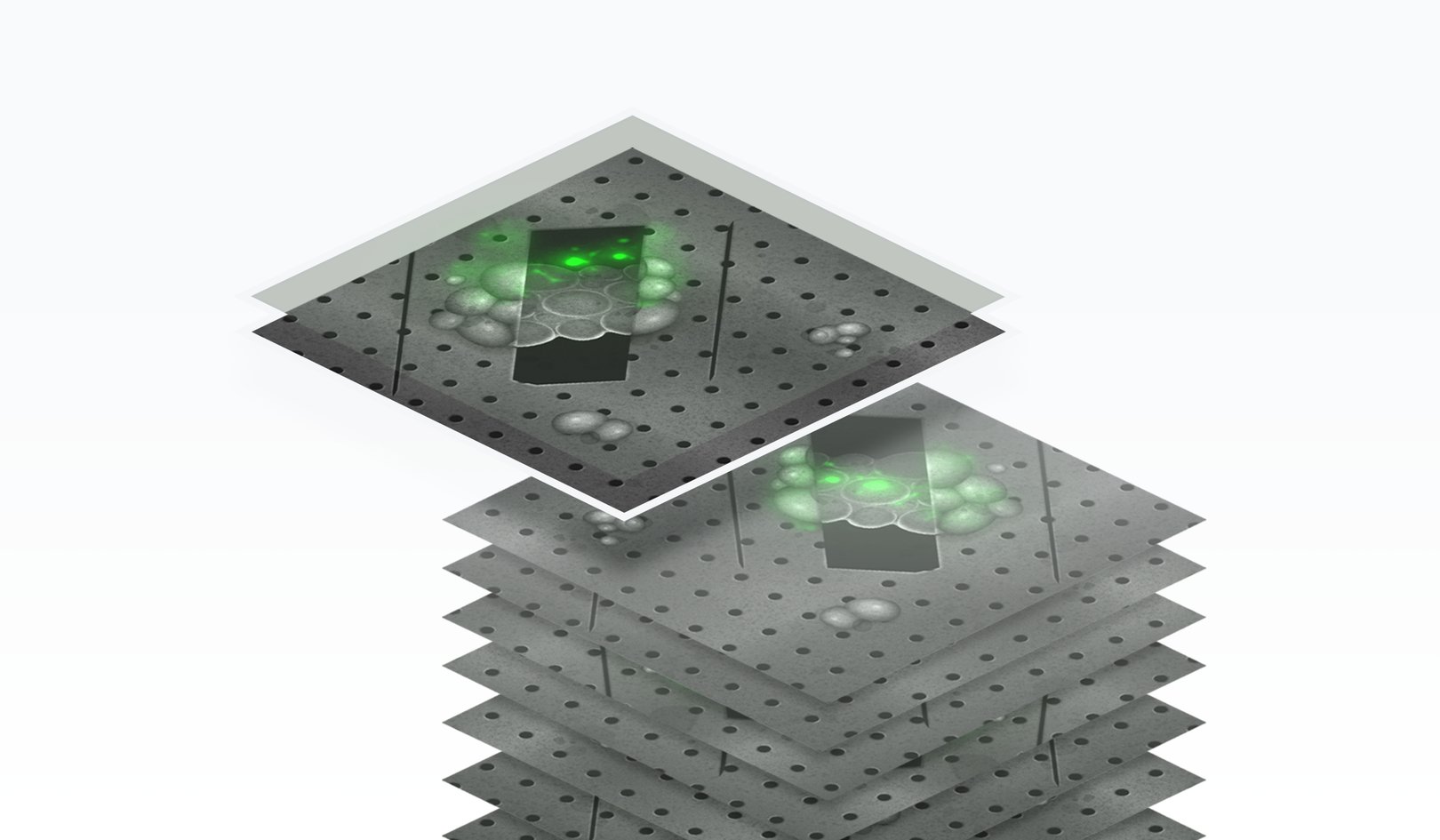 How to streamline the cryo-ET workflow and get more useful biological ...