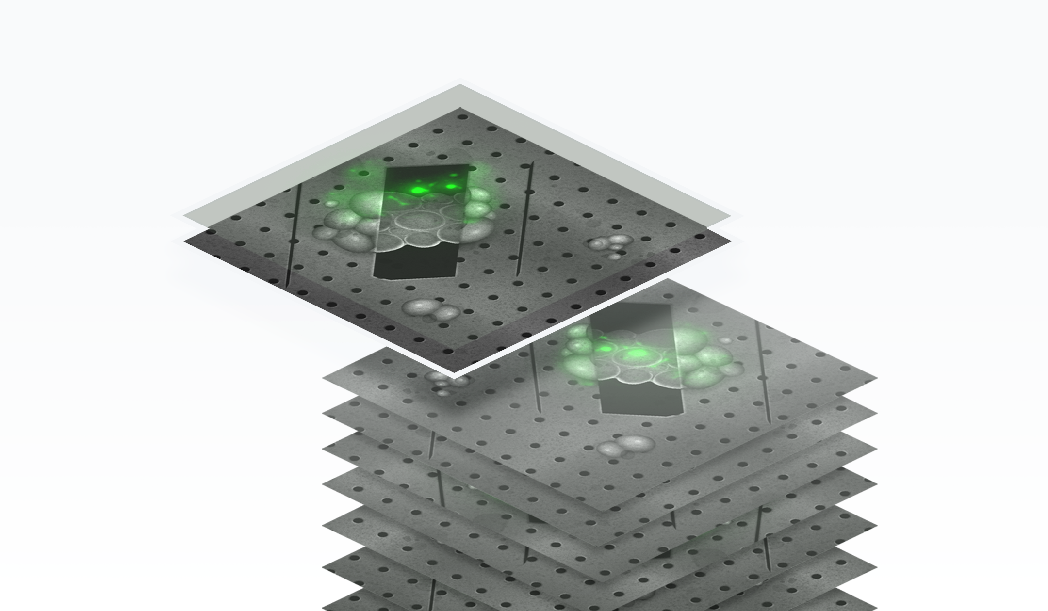 How to streamline the cryo-ET workflow and get more useful biological ...