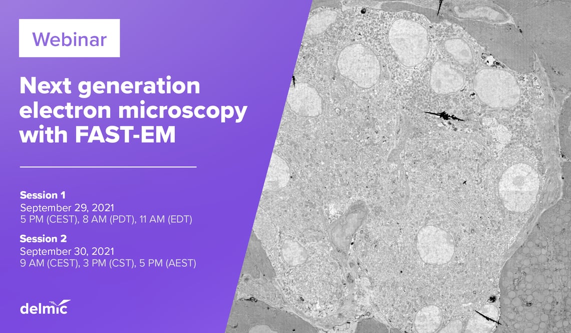 Presenting the specifications of FAST-EM, the new multibeam automated electron microscope