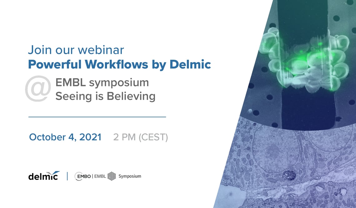 Presenting the specifications of FAST-EM, the new multibeam automated electron microscope