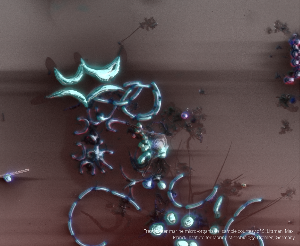 Discovering secrets of the ocean: application note on marine microbiology