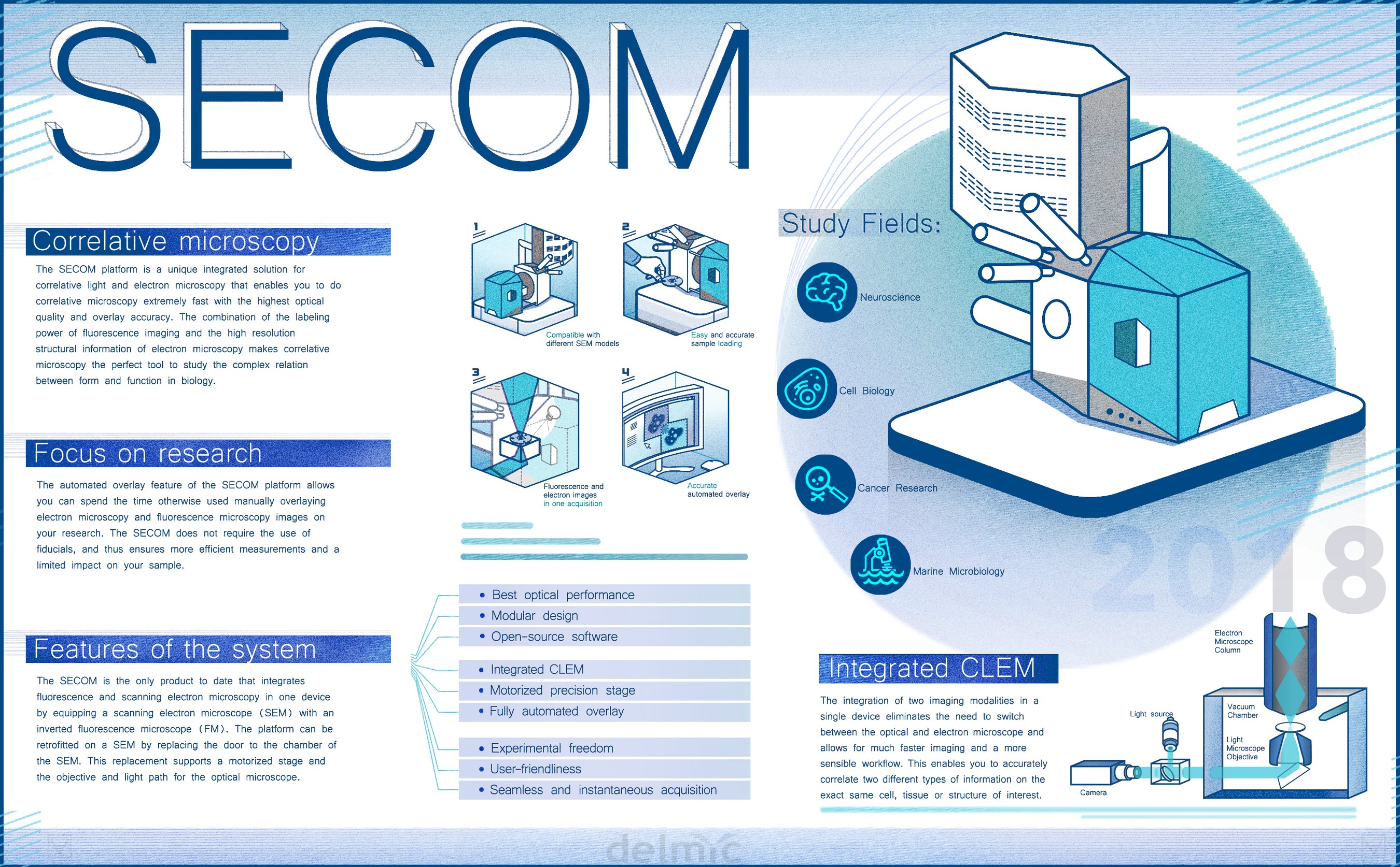 How can correlative microscopy reveal unique insights into your sample ...