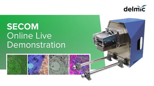 Watch Integrated CLEM system SECOM live in action