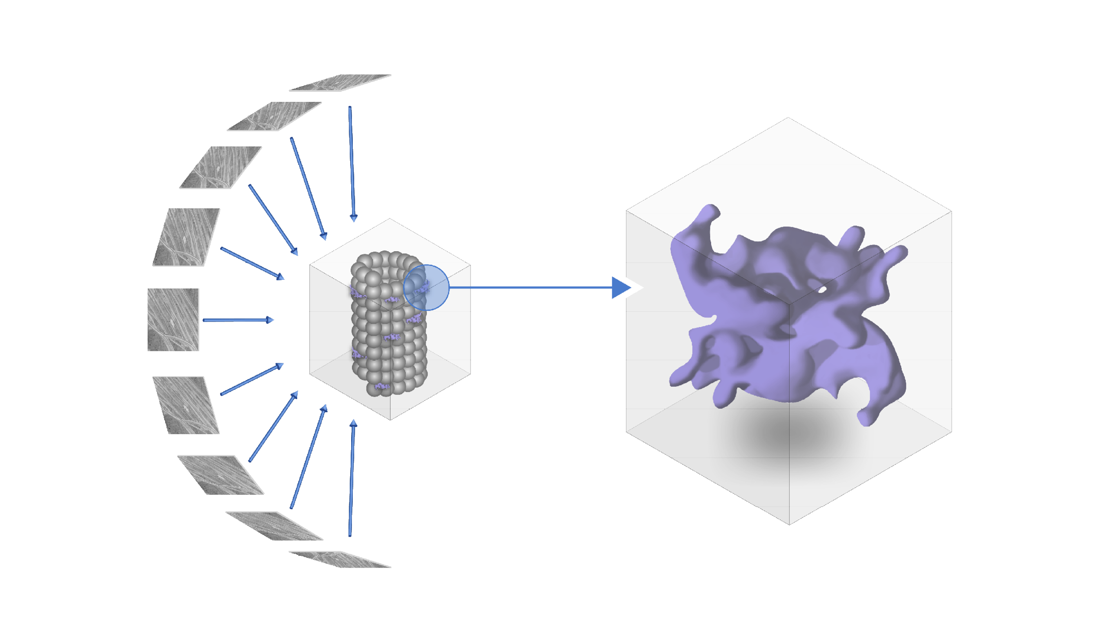 Resolving the full structure of LRRK2 with cryo-ET
