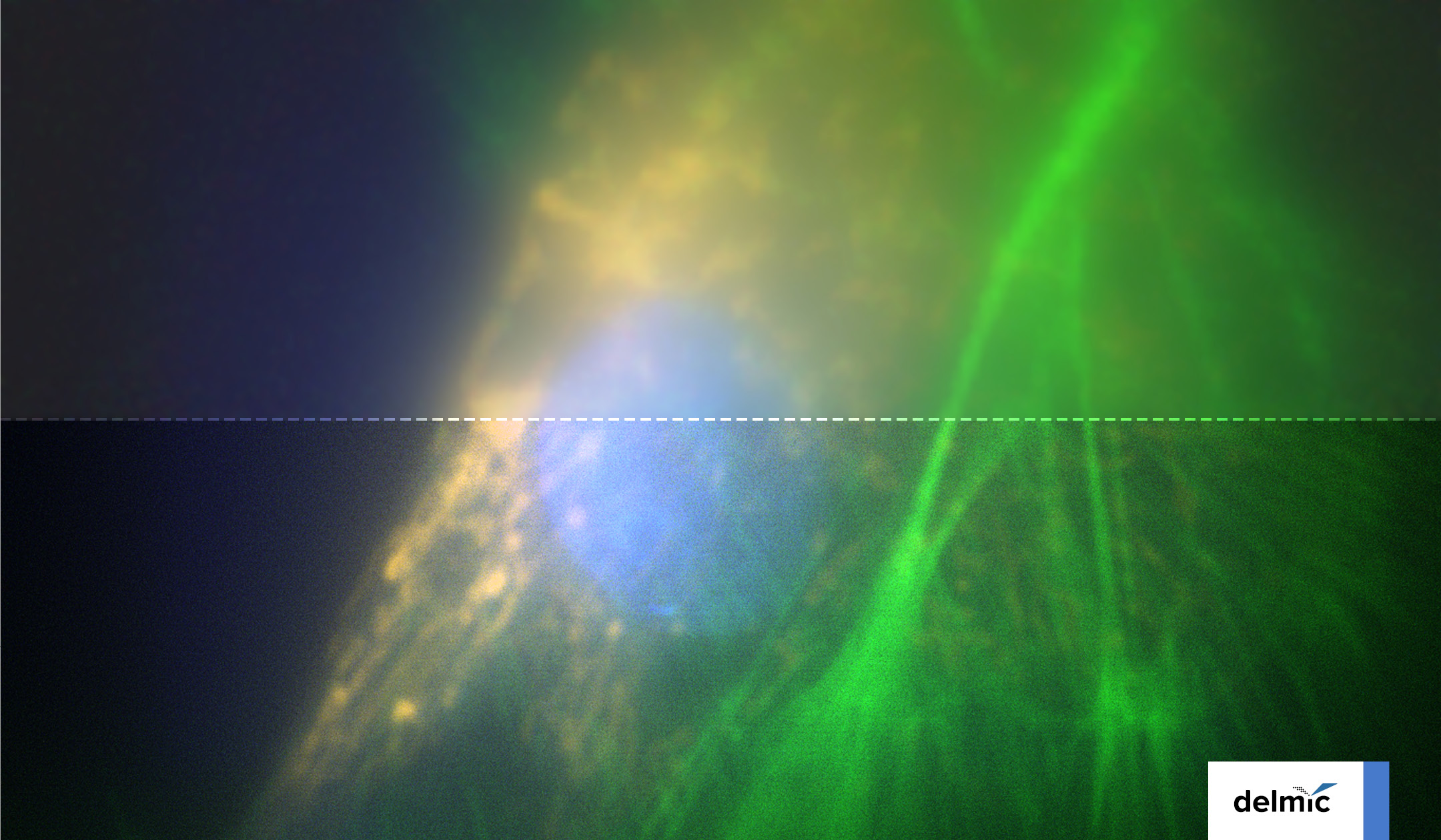 How to choose a suitable camera for cryo-fluorescence light microscopy?