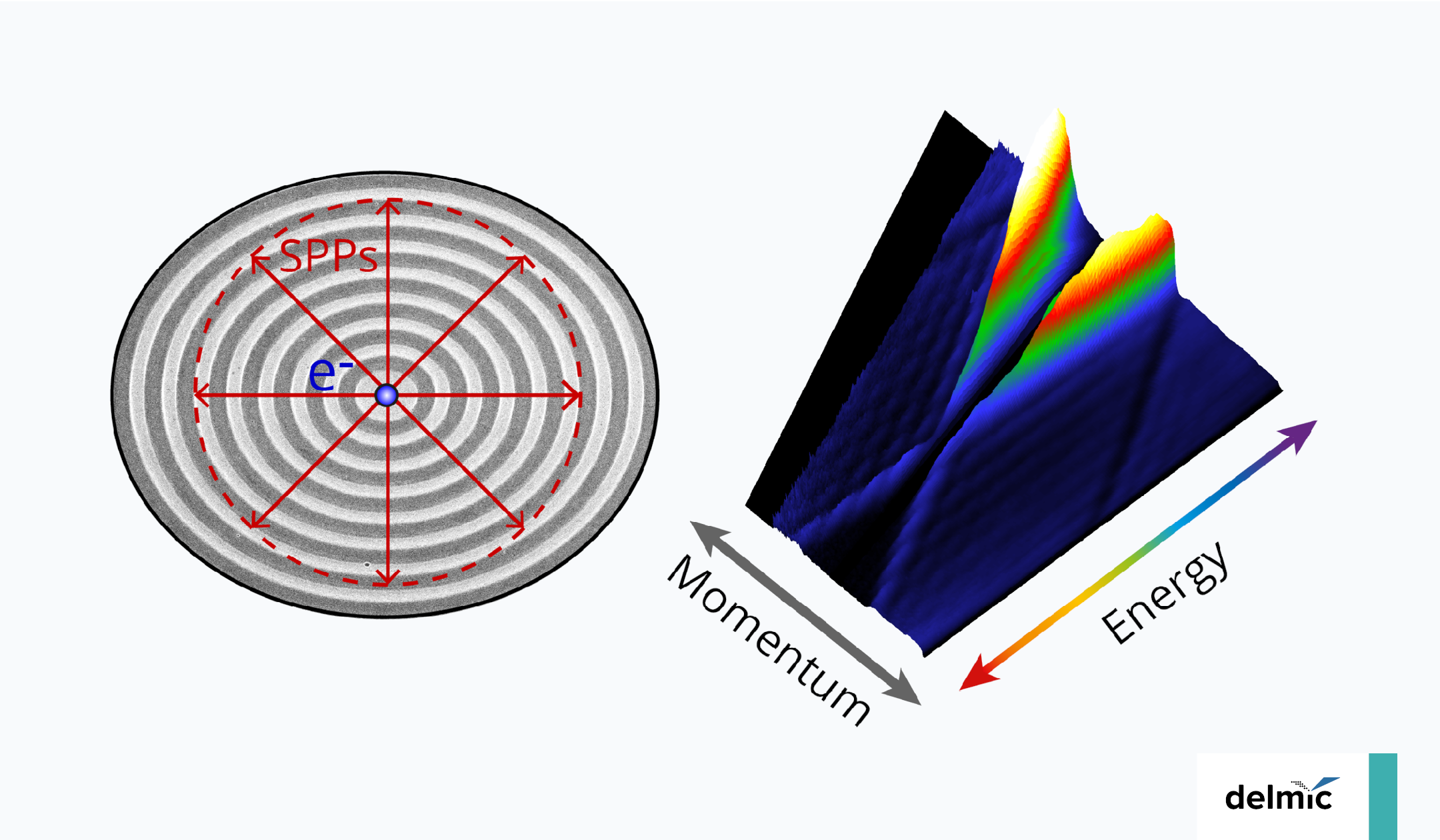 Join Electron Beam Spectroscopy for Nanooptics 2021