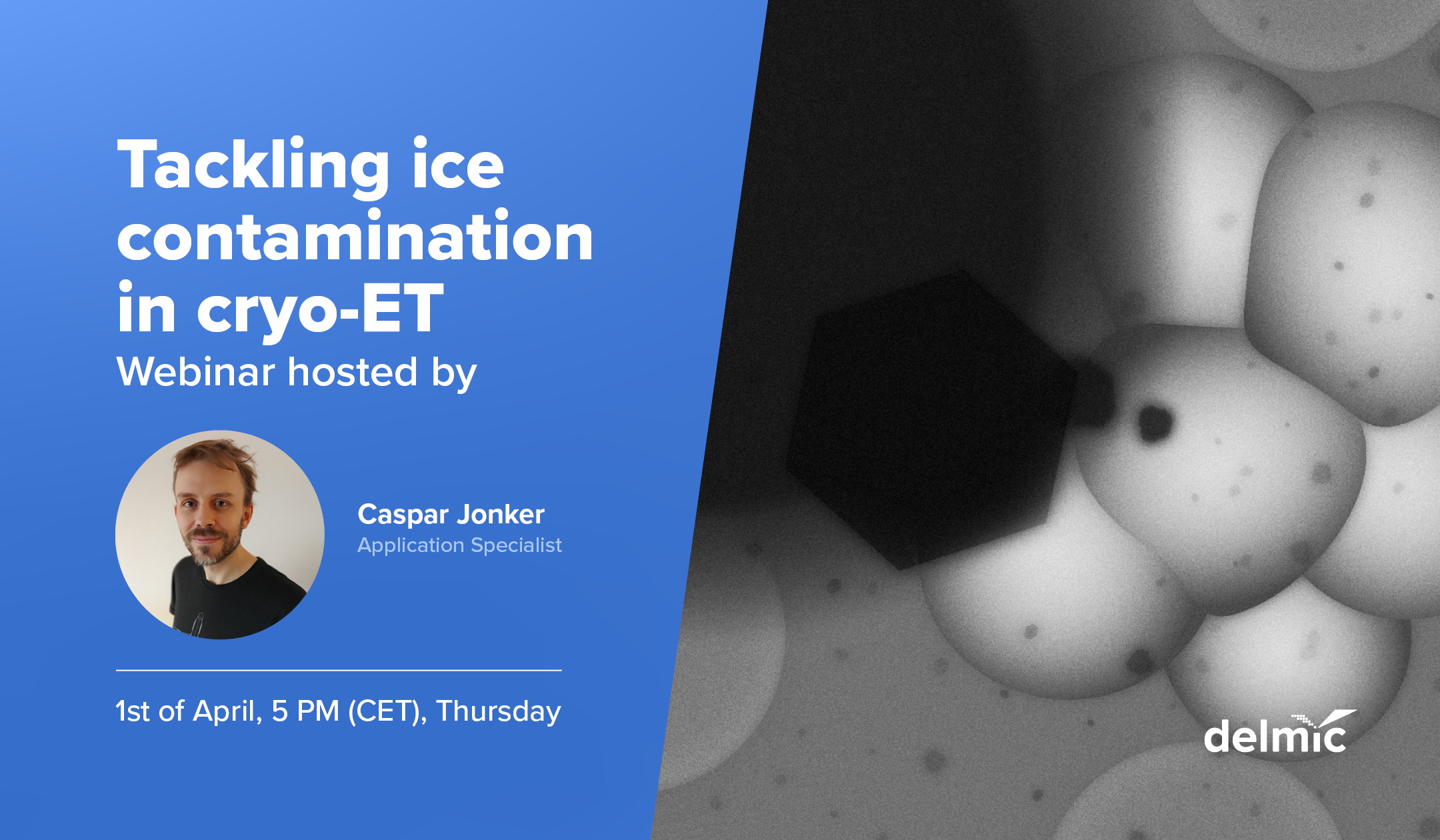 Join the webinar on minimizing ice contamination in cryo-ET